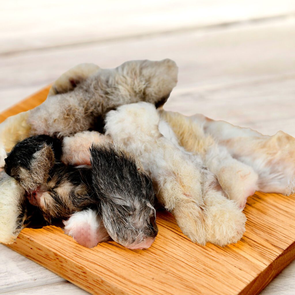 Patas de conejo - Cuni&Co - Expertos en carne de conejo